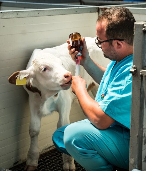 موبيدكو - Mobedco