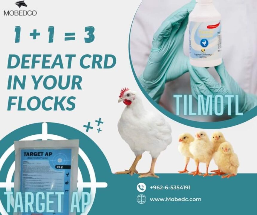 موبيدكو - Mobedco